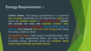 Animal Nutrition parturation of cows Dairy | PPTX