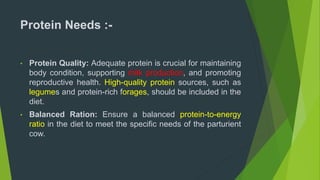 Animal Nutrition parturation of cows Dairy | PPTX