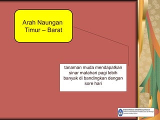 naungan 2.ppt