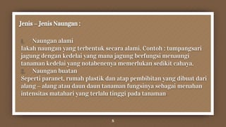 Peranan Naungan Terhadap Pertumbuhan dan Produksi Tanaman | PPTX