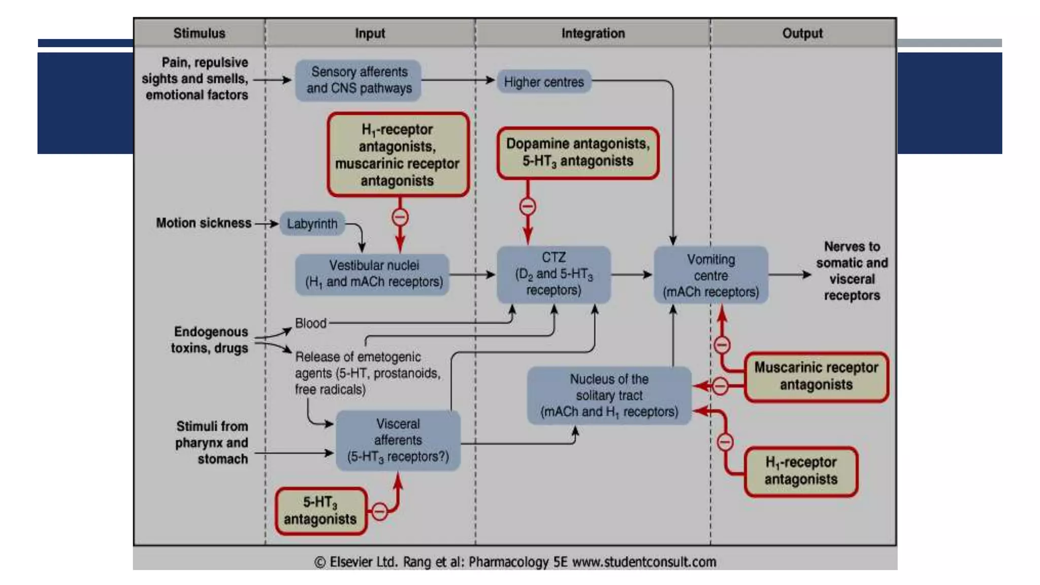 Physiology of Nausea and vomiting , PONV, guidelines and management | PPTX