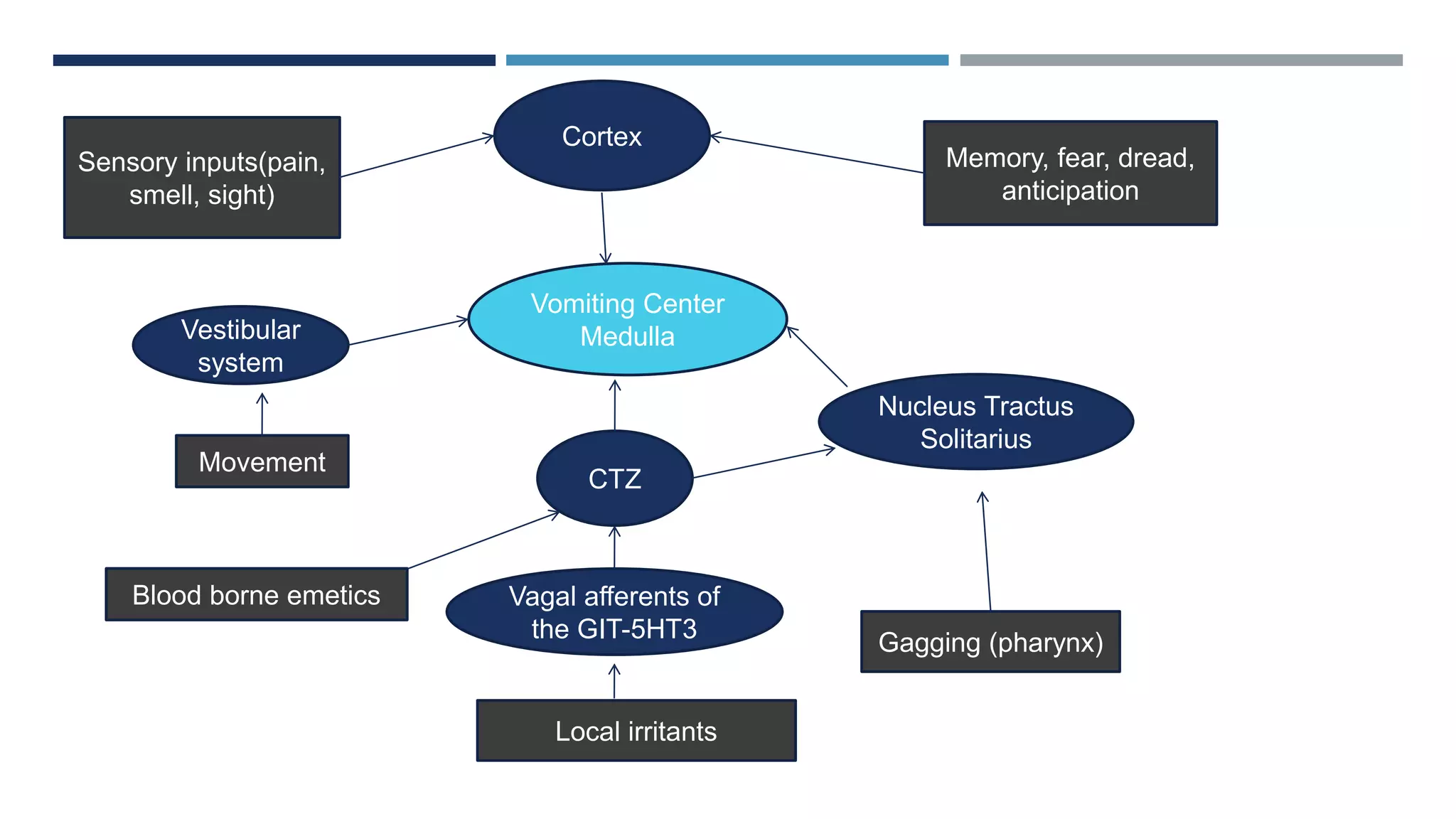 Physiology of Nausea and vomiting , PONV, guidelines and management | PPTX