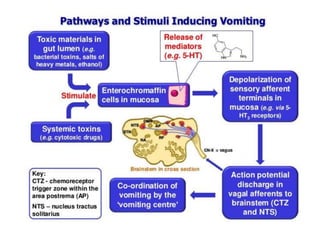 Nausea & Vomiting | PPTX