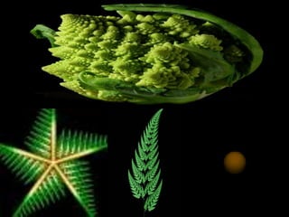 Nautilus, DNA, and snowflakes | PPTX