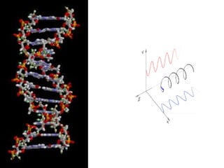 Nautilus, DNA, and snowflakes | PPTX