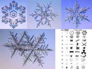 Nautilus, DNA, and snowflakes | PPTX