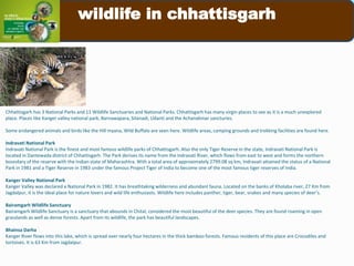 incredible chhattisgarh | PPTX