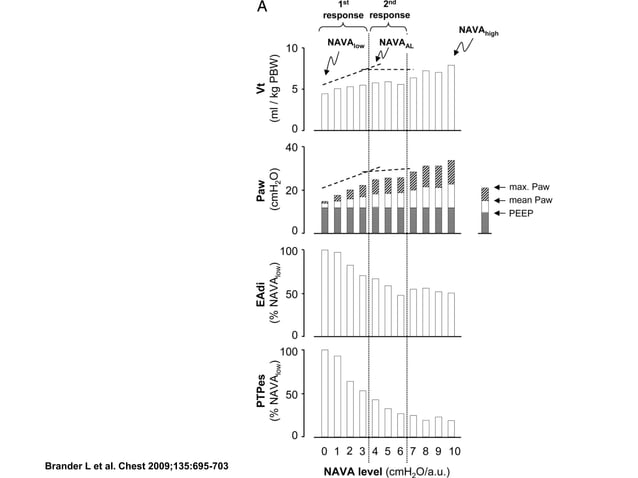 Getinge ventilation strategy using nava ventilation | PDF | Lung and ...