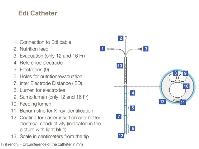 Getinge ventilation strategy using nava ventilation | PDF | Lung and Respiratory Health ...