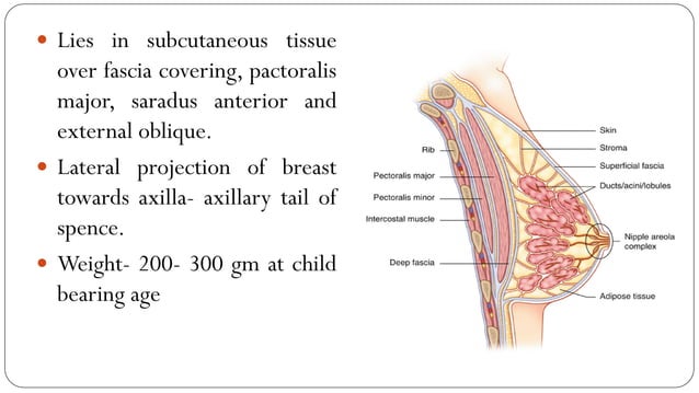Navajaat shishu poshana | PDF
