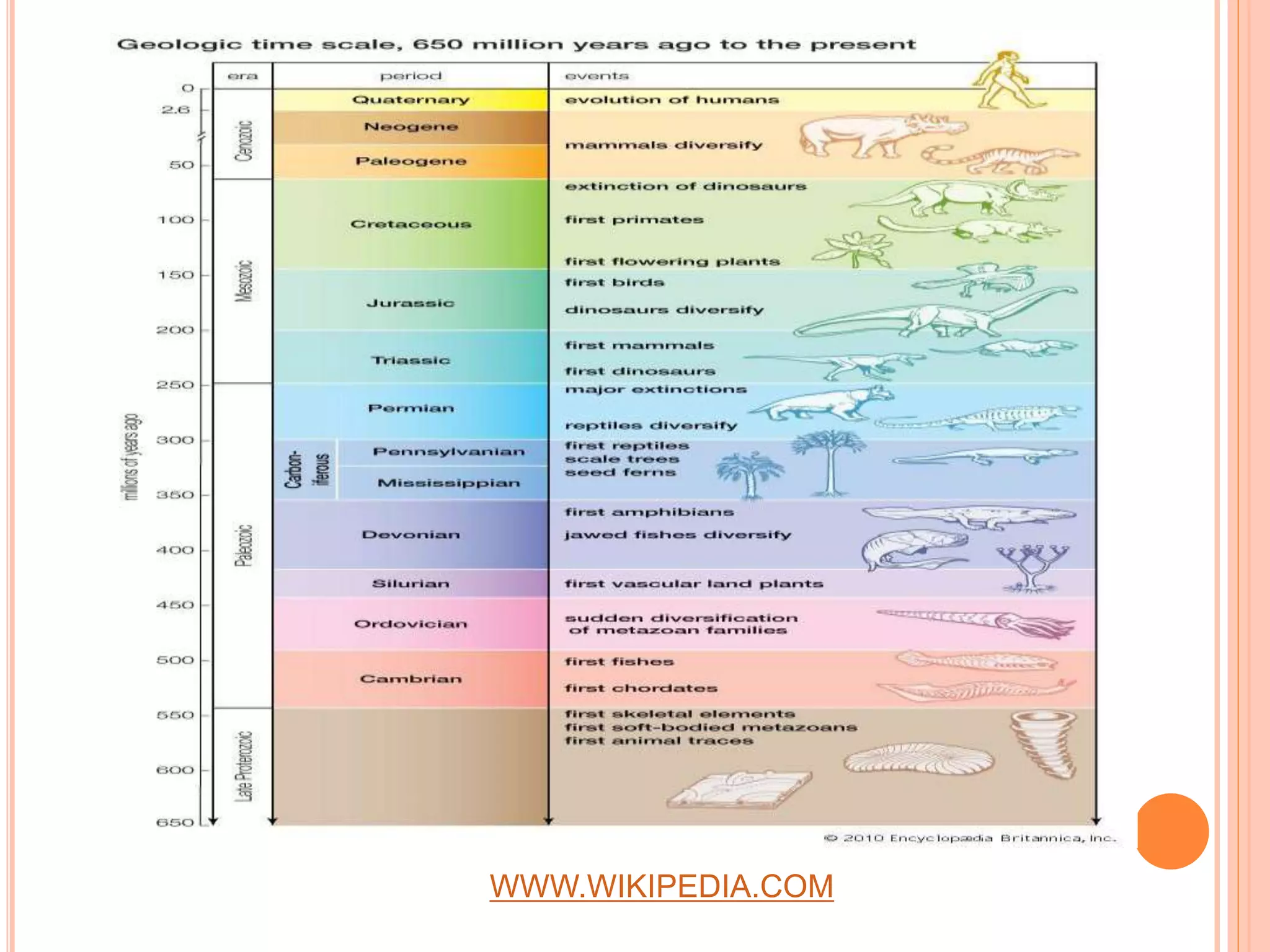 Palaeobiogeographical provinces | PPTX