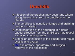 Naval ill Bacterial Infection of the umbilicus and its associated ...