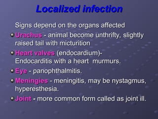Naval ill Bacterial Infection of the umbilicus and its associated ...