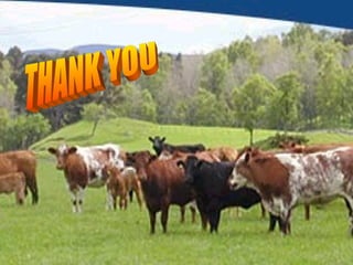 Naval ill Bacterial Infection of the umbilicus and its associated ...