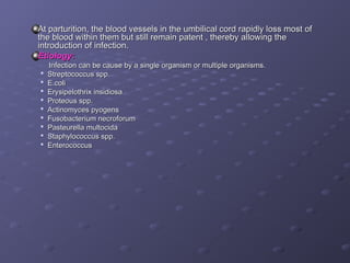 Naval ill Bacterial Infection of the umbilicus and its associated ...