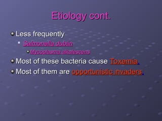 Naval ill Bacterial Infection of the umbilicus and its associated ...