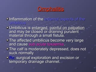 Naval ill Bacterial Infection of the umbilicus and its associated ...