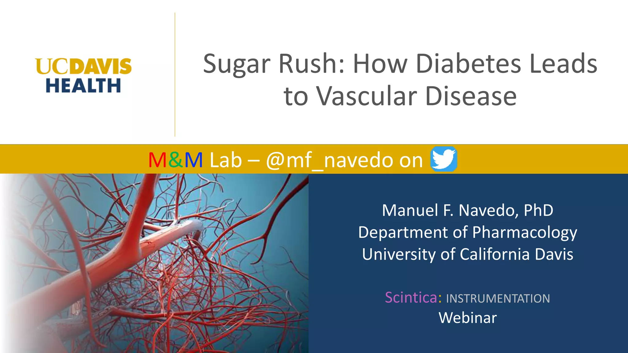 Sugar Rush: How Diabetes Leads to Vascular Disease | PPT