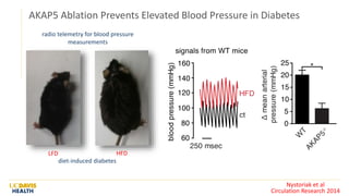 Sugar Rush: How Diabetes Leads to Vascular Disease | PPT