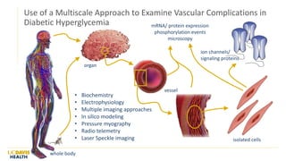 Sugar Rush: How Diabetes Leads to Vascular Disease | PPT
