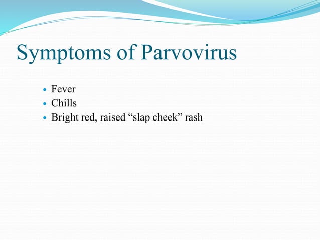 Parvo virus | PPTX | Infectious Diseases | Diseases and Conditions