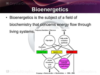 Bioenergetics and energy produced in TCA cycle By Abdul Qahar | PPTX