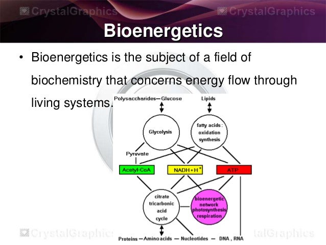 Bioenergetics and energy produced in TCA cycle By Abdul Qahar