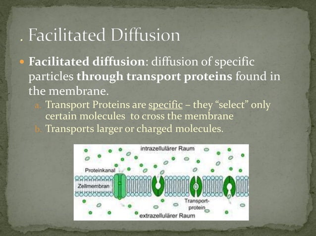 Cellular Transport (Active and Passive transports | PDF