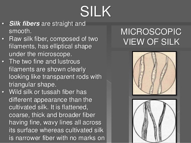 Naveed ul hassan (tmm 1 a)