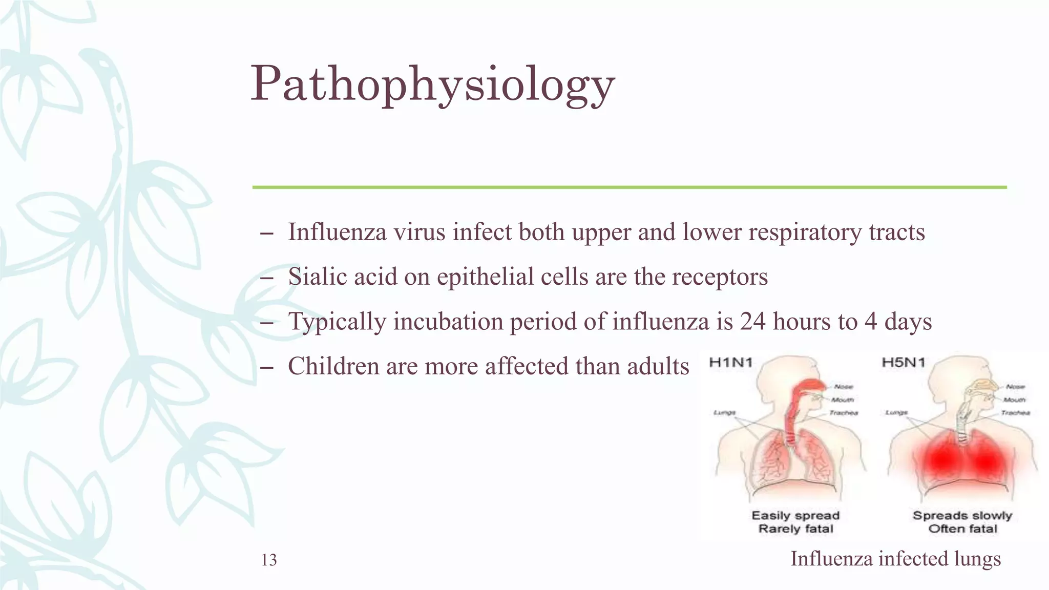 influenza virus | PPTX