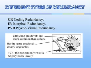 Interpixel redundancy | PPT