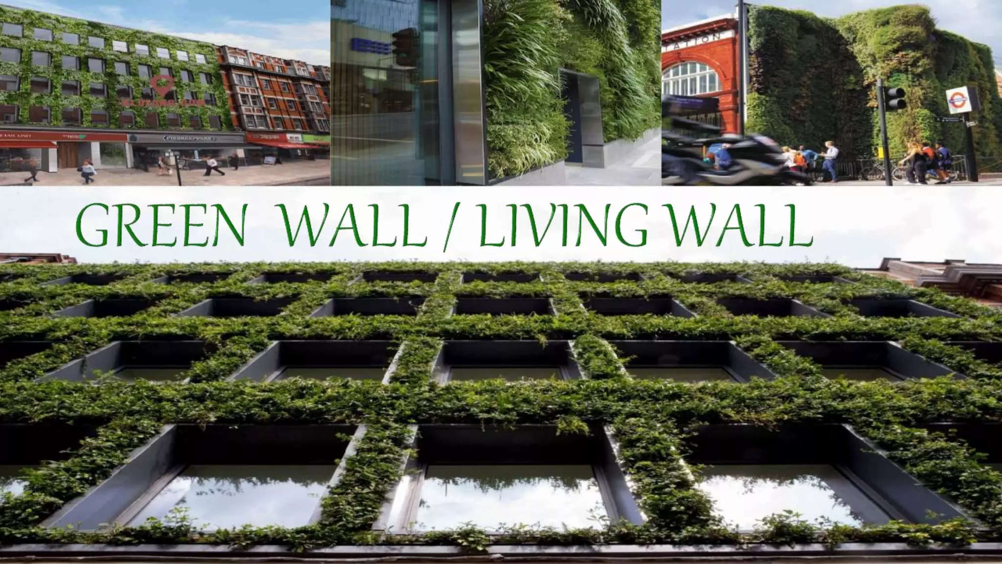 vertical gardening system | PPTX