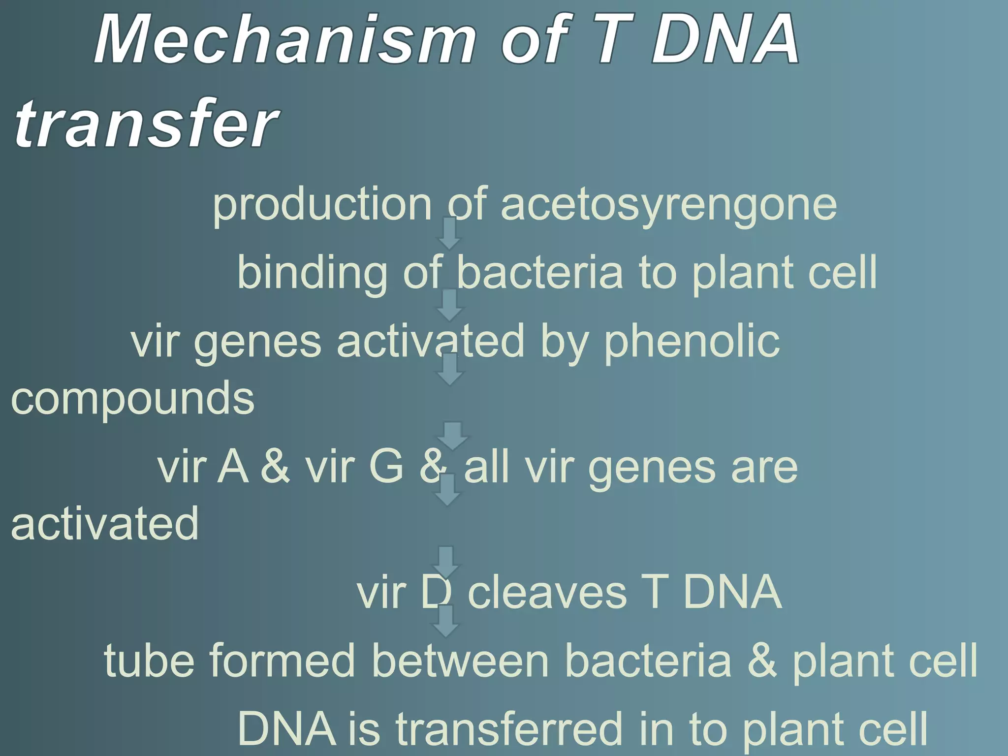 indirect mode of gene tranfer | PPTX