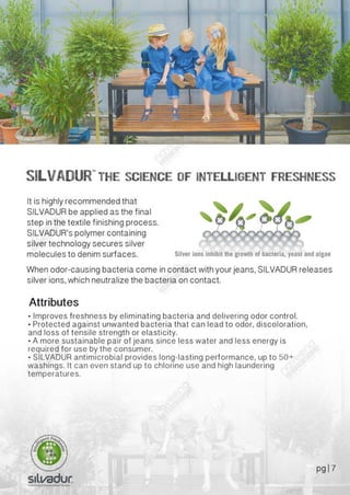 Naveena Karachi Denim | PDF