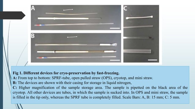 Reversible Cryopreservation of Living Cells Using an Electron ...