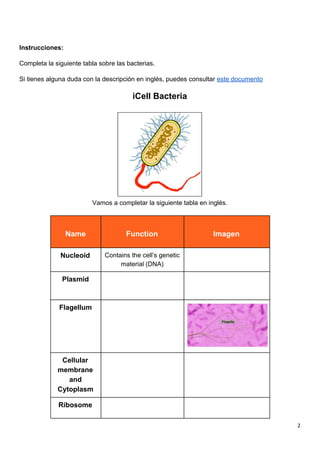 Navega en 3 d por el interior de una bacteria | PDF