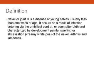 Navel ill and joint ill.pptx