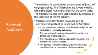 AJM Sheet: Navicular fx | PPT