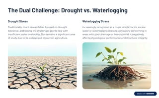 Navigating-Abiotic-Stress-A-Threat-to-Global-Food-Security.pdf