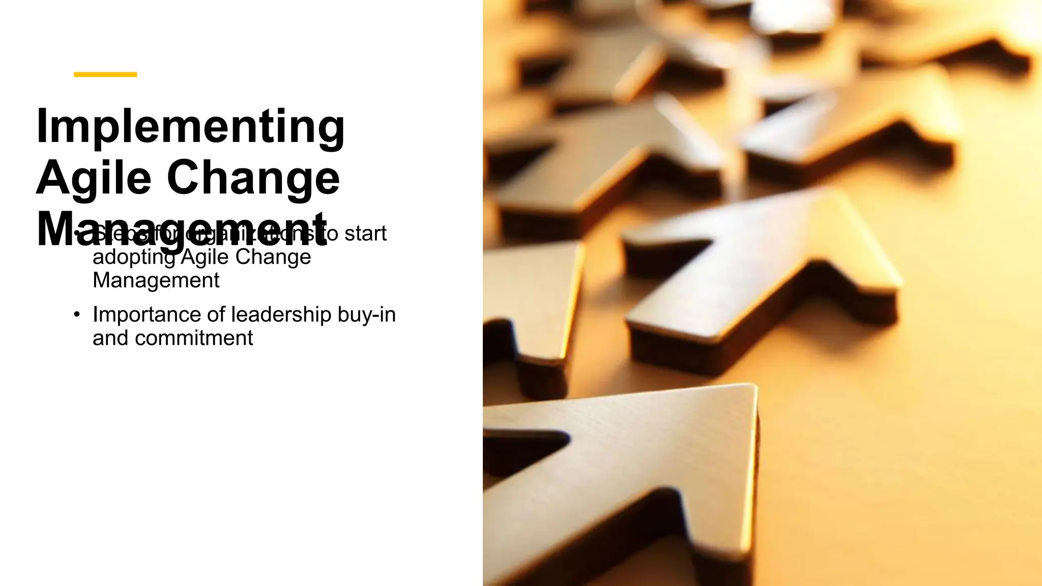 Navigating Change with Agile Change Management.pptx