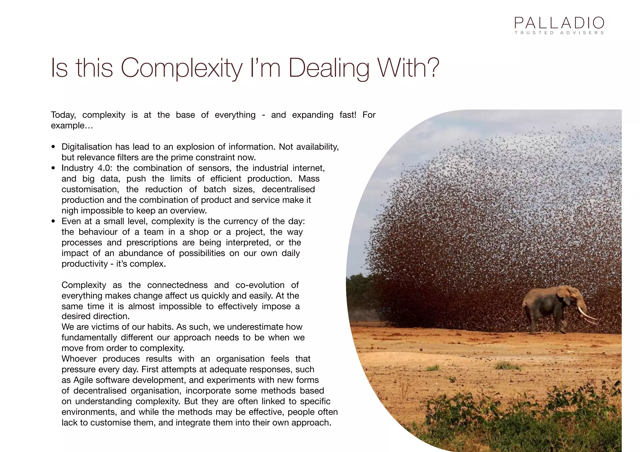 Navigating complexity overview | PPT