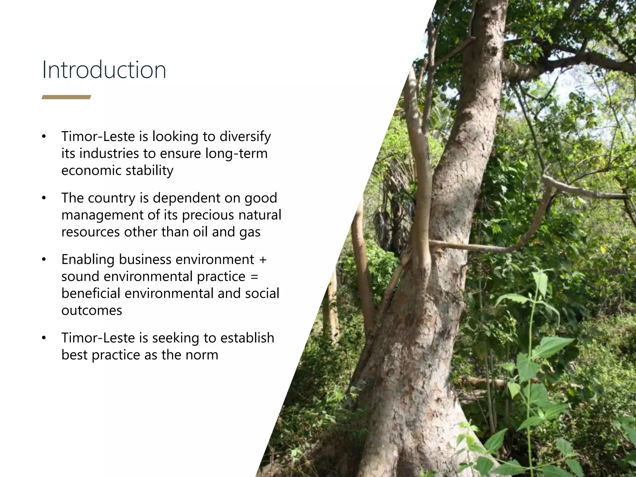 Navigating the Environmental Licensing process in Timor-Leste: plain ...