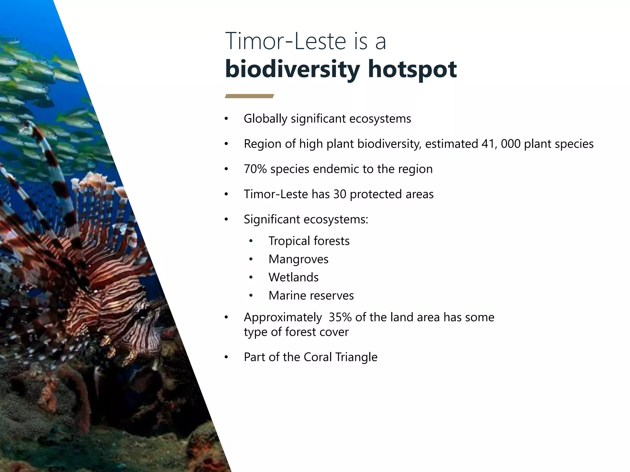 Navigating the Environmental Licensing process in Timor-Leste: plain ...