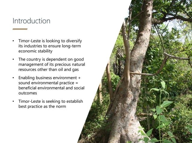 Navigating the Environmental Licensing process in Timor-Leste: plain ...