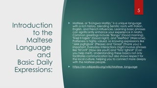 Navigating Life and Work in Malta Expats | PPT