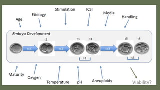 NAVIGATING THE HORIZONS OF TIME LAPSE EMBRYO MONITORING.pdf