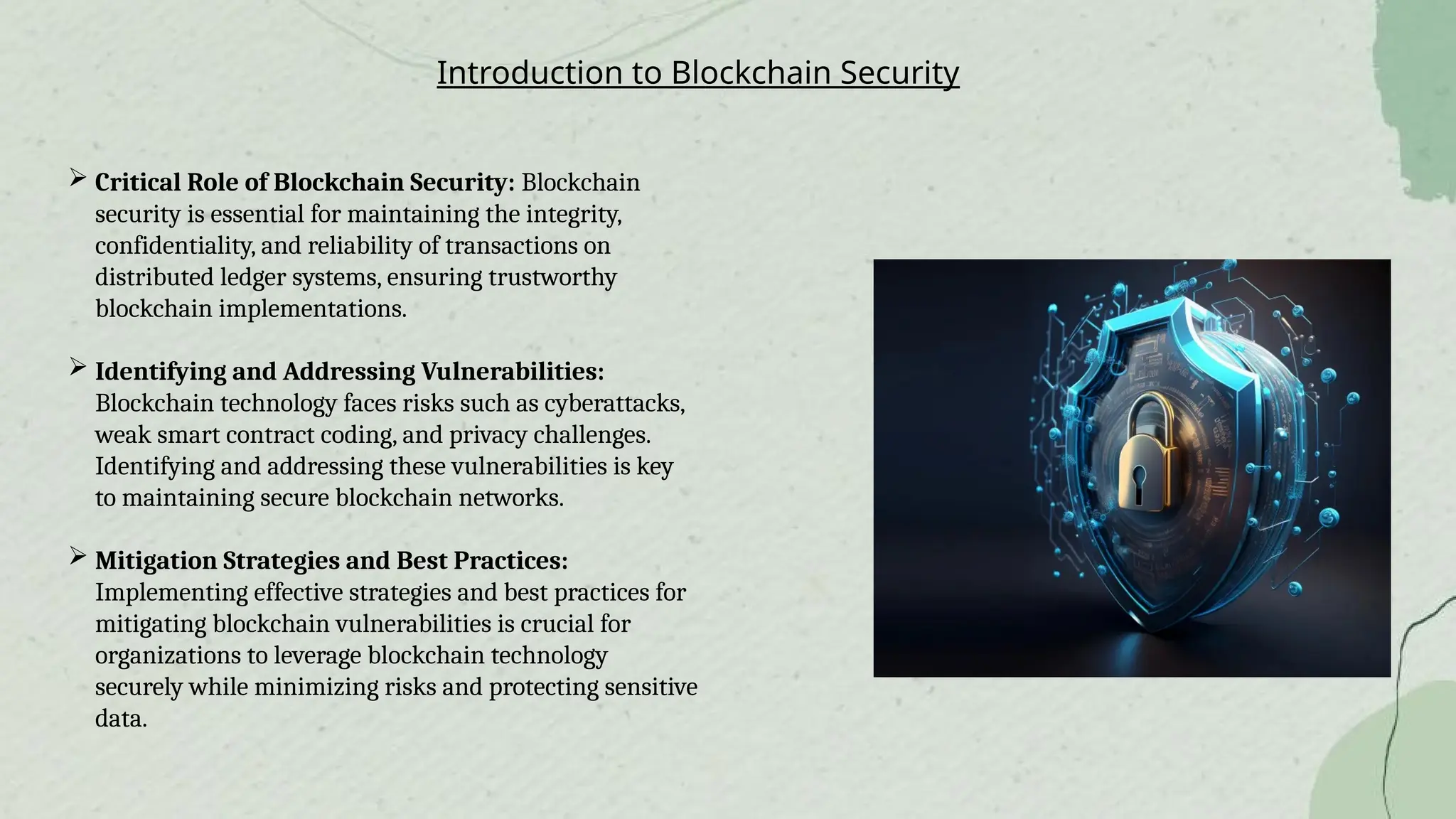 Blockchain Security Unveiled: Risks & Resilience | PPT