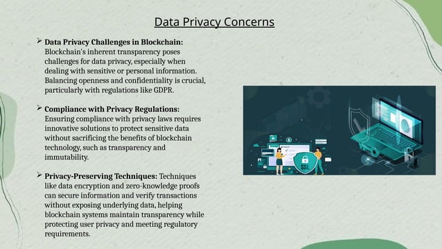 Blockchain Security Unveiled: Risks & Resilience | PPT