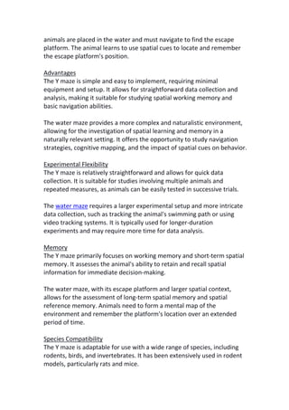 Navigating The Water and Y Maze A Comparative Analysis.pdf