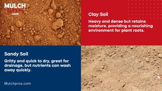 Navigating the World of Topsoil: A Guide to the Right Choice for Your ...